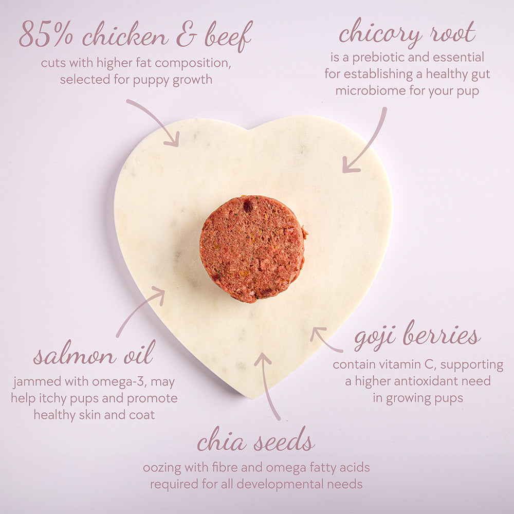 Raw Dog Food - 72 Puppy Box Patties| LUNA & me